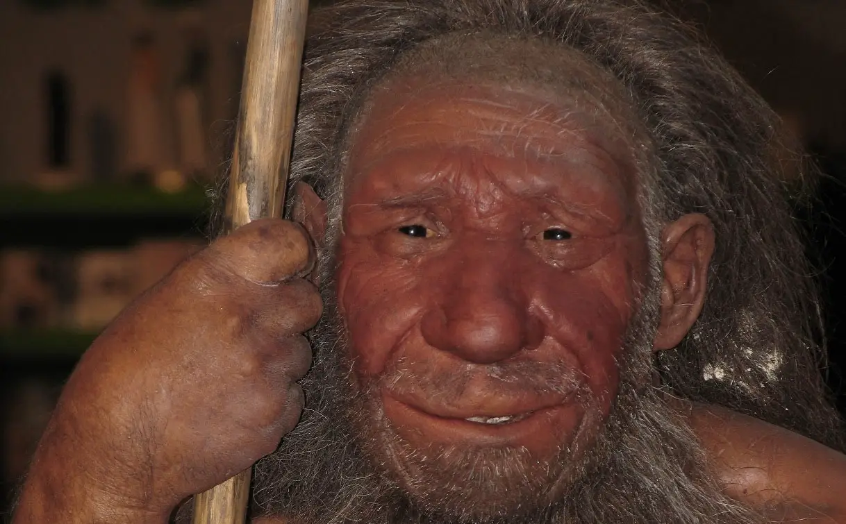Evolutionary advantages over extinct types of humans - HeritageDaily ...