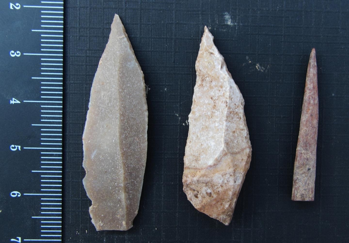 Stone tools from Jordan point to dawn of division of labor ...