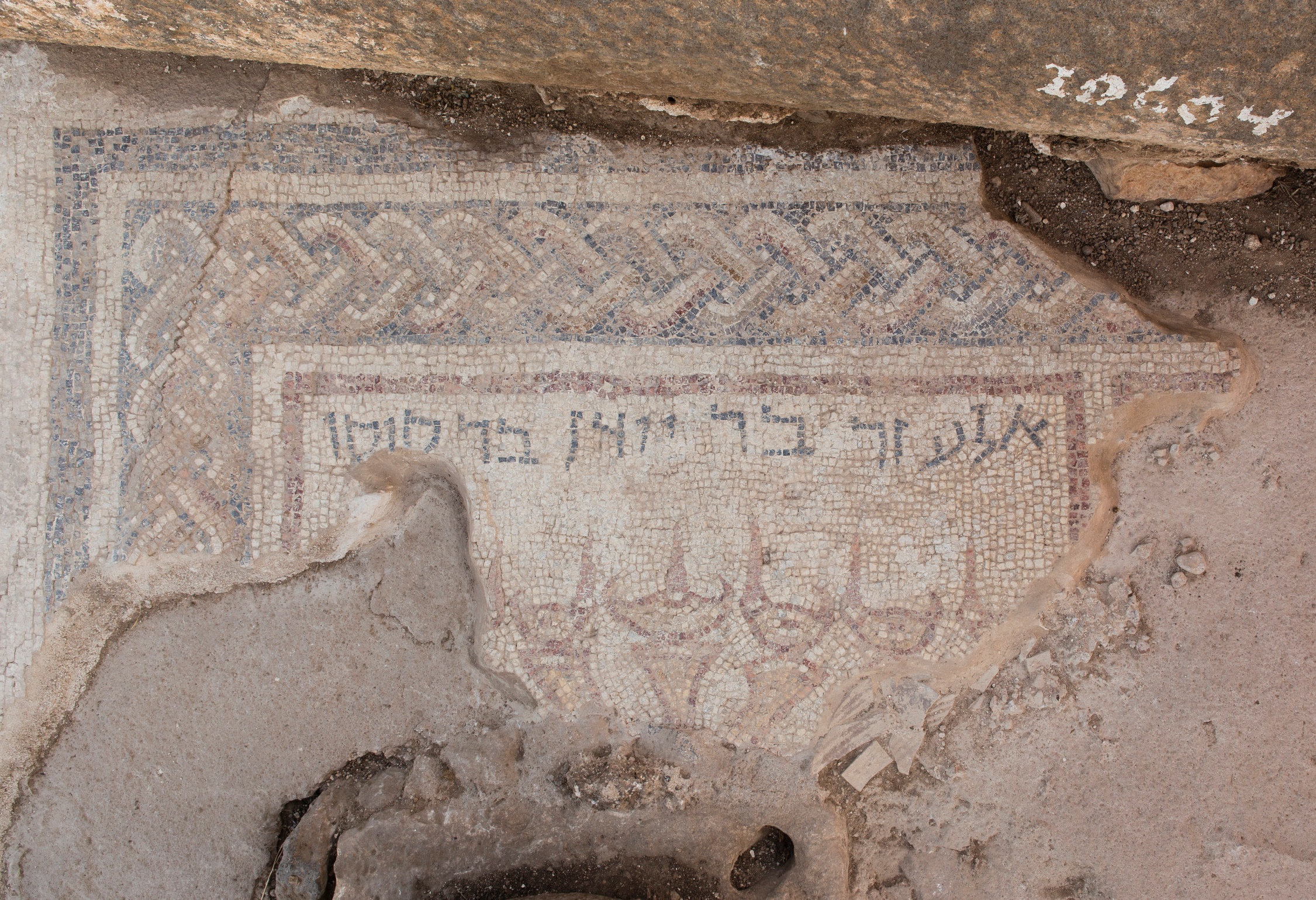 Ancient Synagogue Mosaic Floor Showing Menorah Found in Galilee, Israel ...
