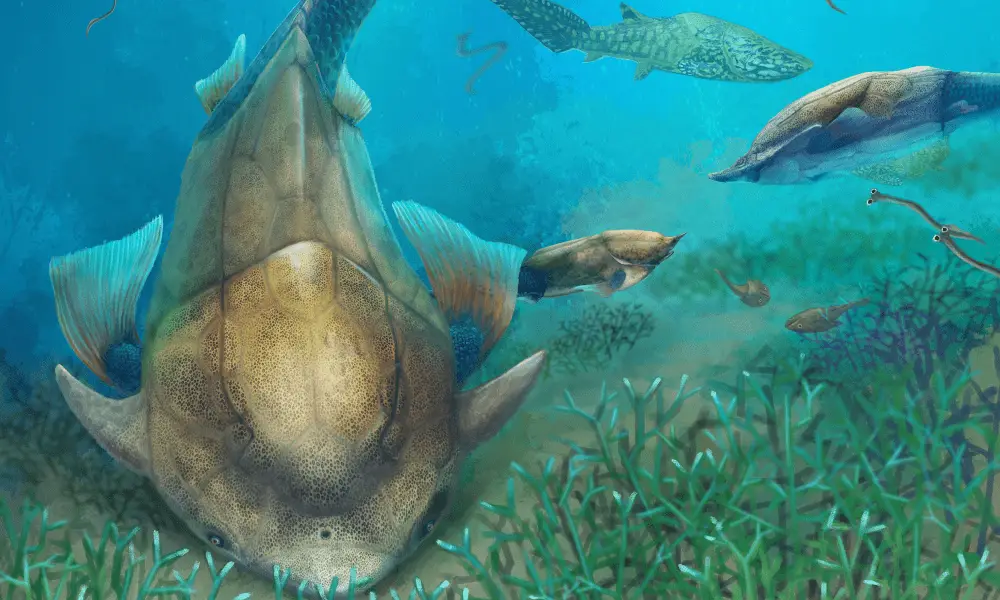 Early fossil fish from China shows where our jaws came from ...