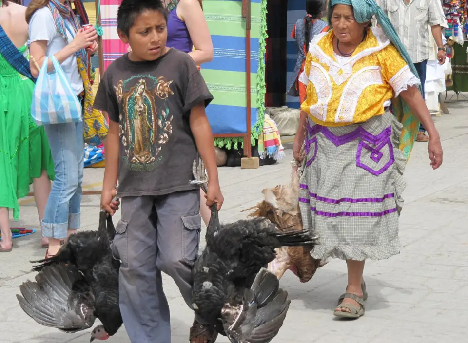 Archaeological excavation unearths evidence of turkey domestication ...