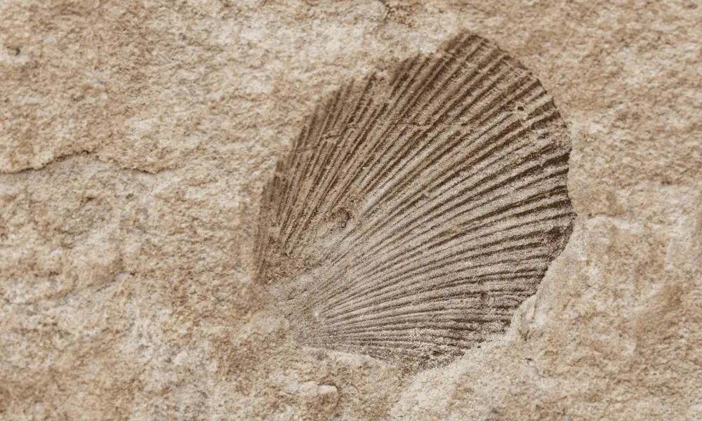 Greenland fossils reveal global ecosystem recovery after mass ...