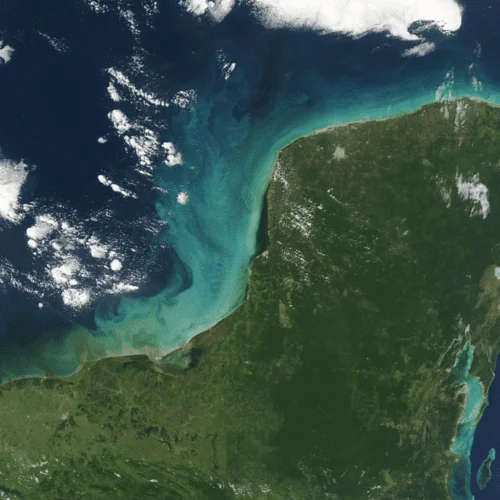 Rice farming in India much older than thought, used as 'summer crop' by ...