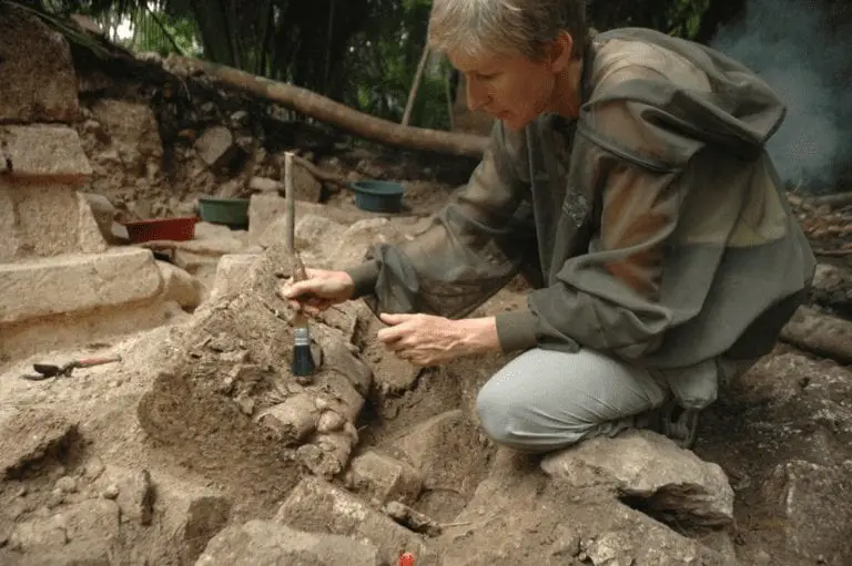 Archaeologists uncover new clues to Maya collapse