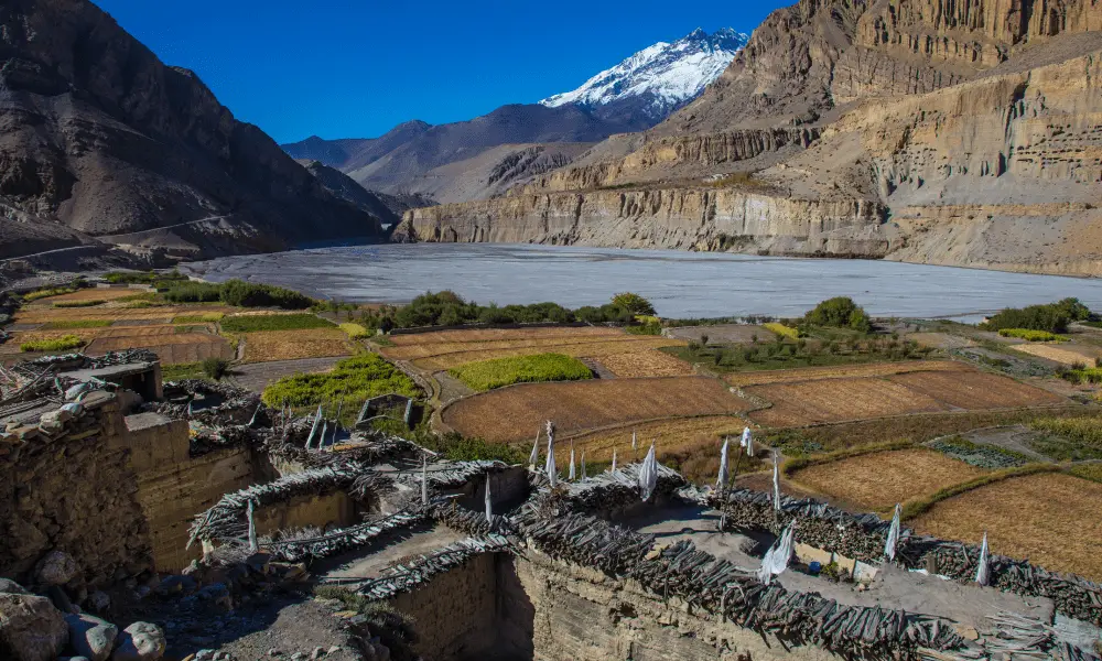 Research sheds new light on high-altitude settlement in Tibet ...