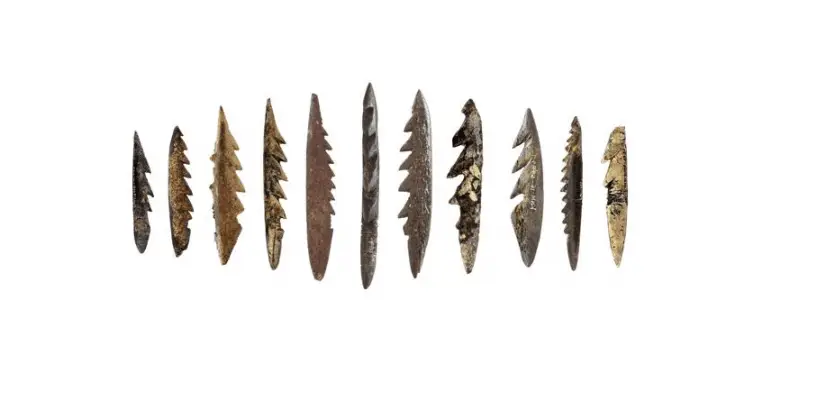 Sharpening our knowledge of prehistory on East Africa’s bone harpoons