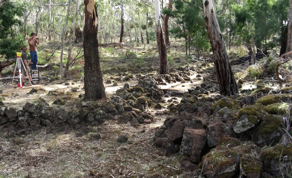 The detective work behind the Budj Bim eel traps World Heritage bid ...