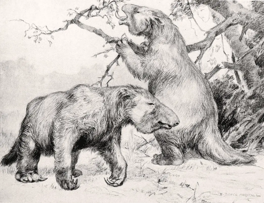 The Giant Sloth was a Vegetarian - The diet of the fossil Megatherium ...