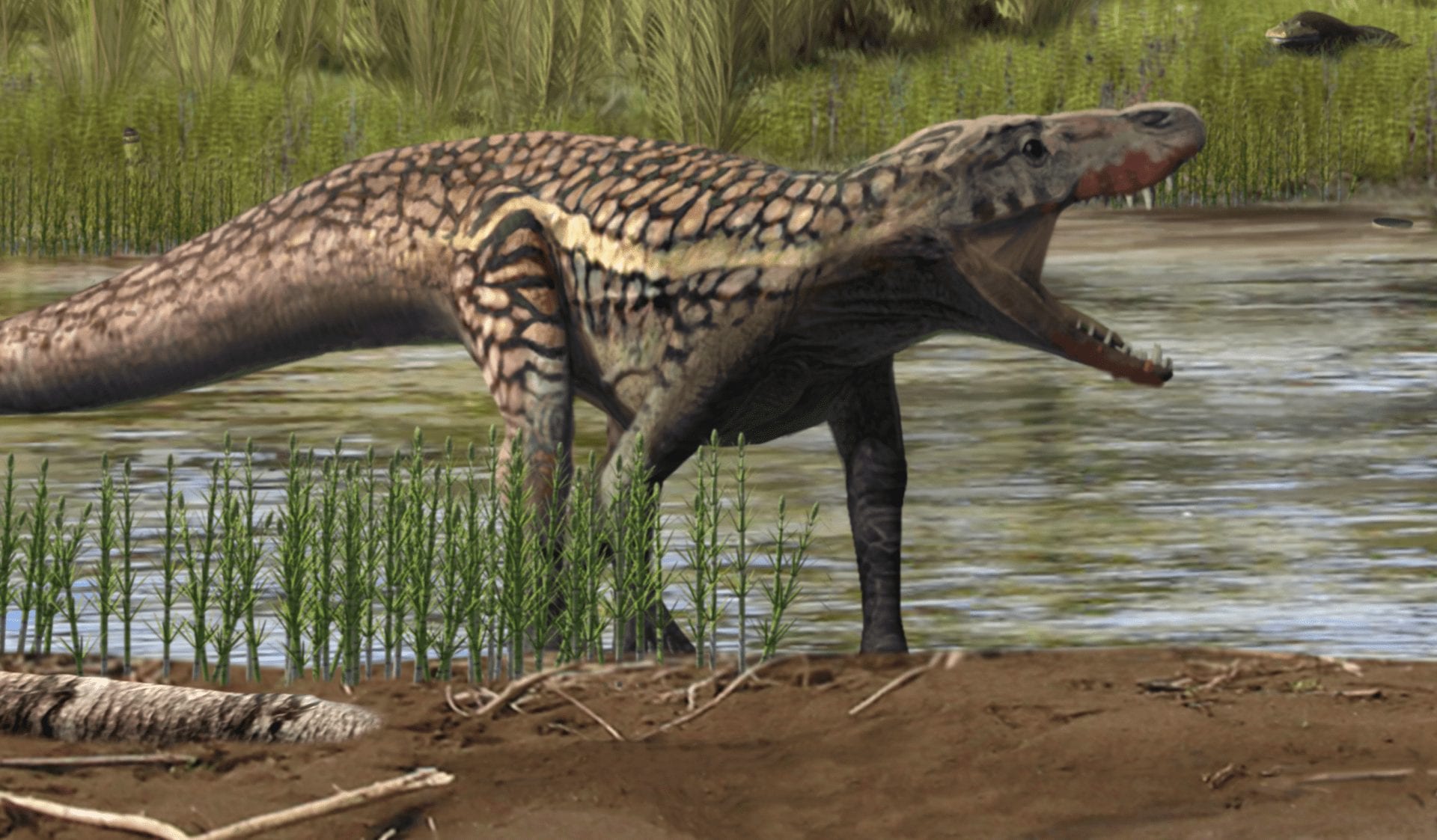 Trace Fossils Discovered of an Unknown Reptile Species Existing 247 ...