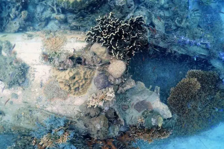 Top 10 Archaeological Discoveries of 2017