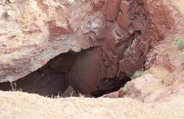 An extraordinary cave animal found in Eastern Turkmenistan