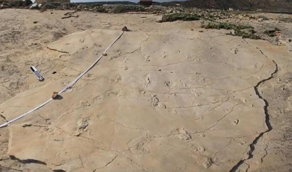Fossil footprints challenge established theories of human evolution ...