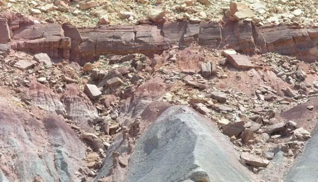 Late Triassic terrestrial ecosystem changes