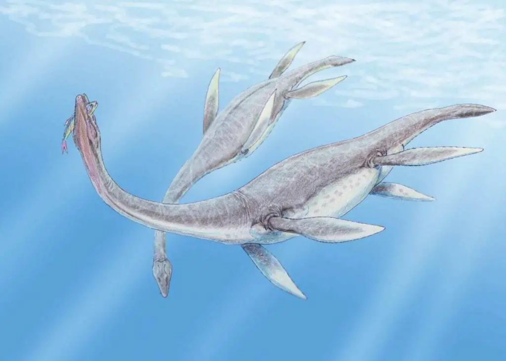 Evolution is in the ears of extinct aquatic reptiles