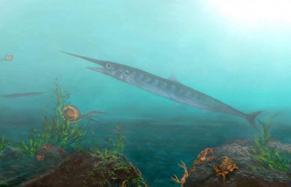 Child aids paleontologists in discovery of new ancient fish species