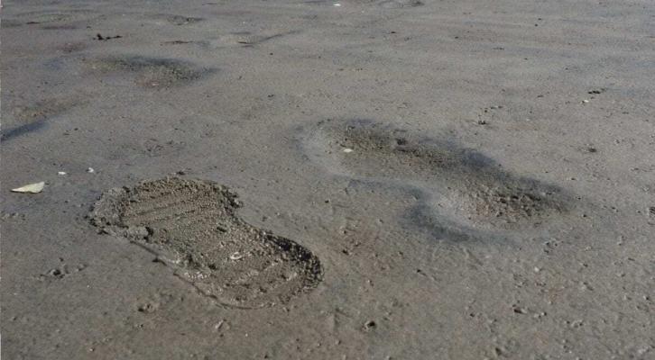 13,000-year-old human footprints found off Canada's Pacific coast