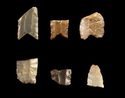 Spear points prove early inhabitants liked to travel