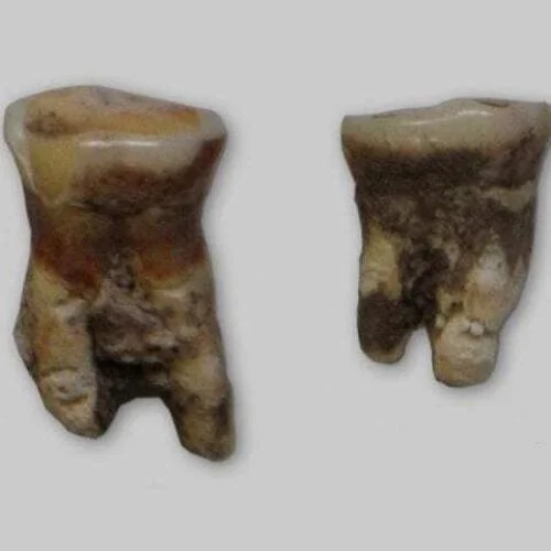 Roman decapitated and crushed by block of stone while fleeing eruption ...