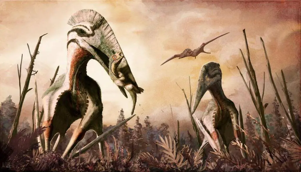Jurassic diet: why our knowledge of what ancient pterosaurs ate might ...