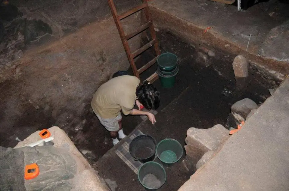 Pacific rats trace 2,000 years of human impact on island ecosystems