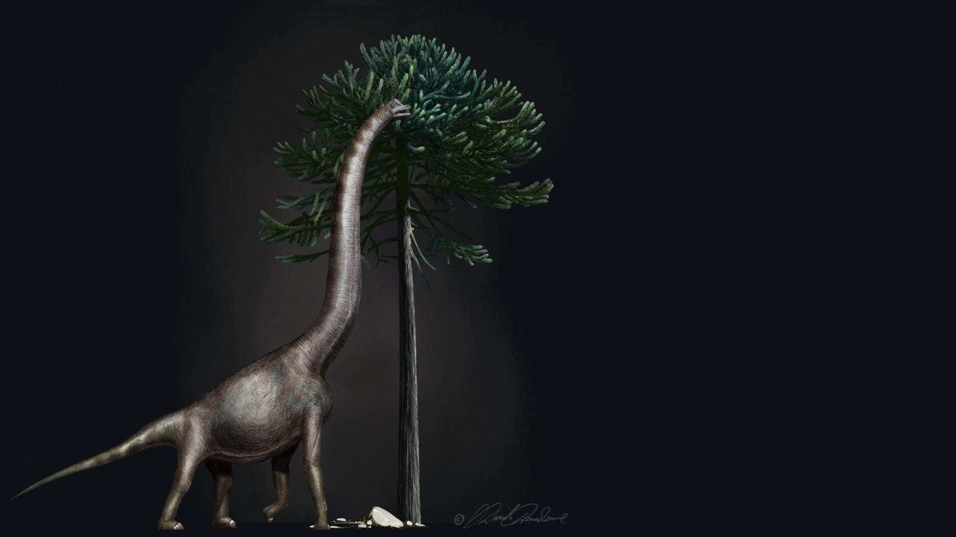 Paleontologists discover largest dinosaur foot to date