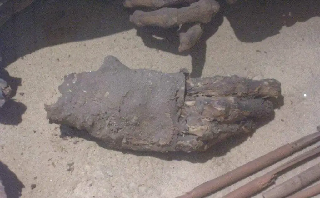 Prehistoric mummy reveals ancient Egyptian embalming 'recipe' was ...