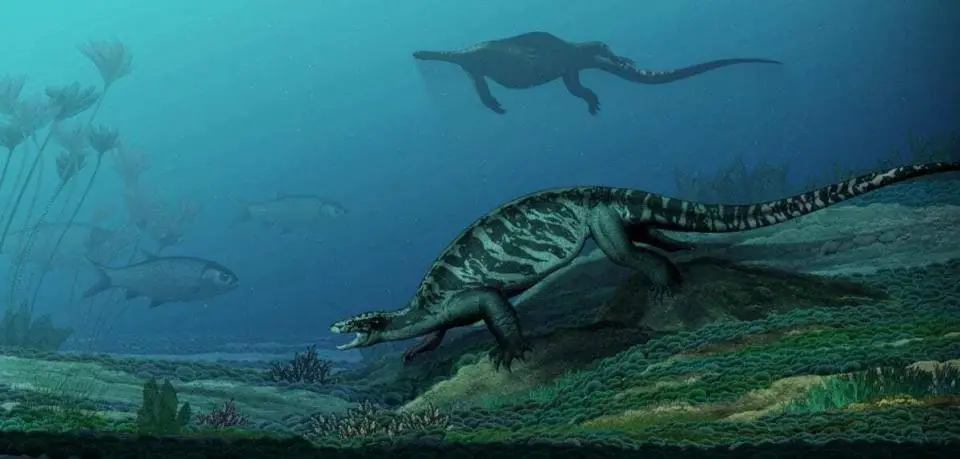 Fossil turtle didn't have a shell yet, but had the first toothless ...
