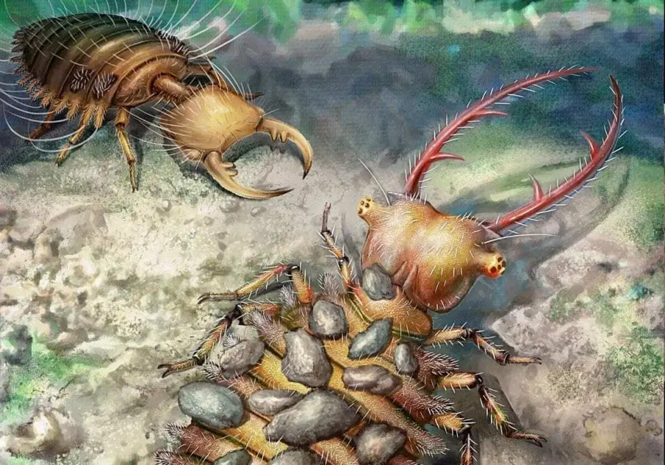 Amber unveils evolution of ancient antlions