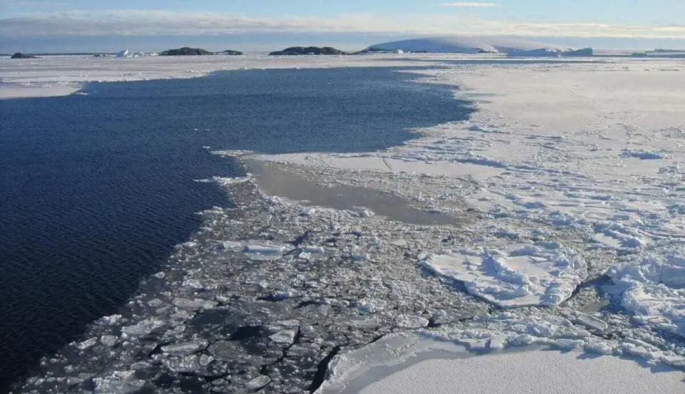 Ice-free corridor sustained Arctic marine life during last Ice Age