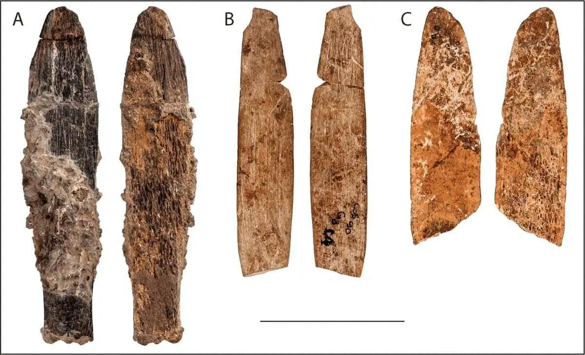Bone knife from Morocco is oldest specialized tool associated with ...