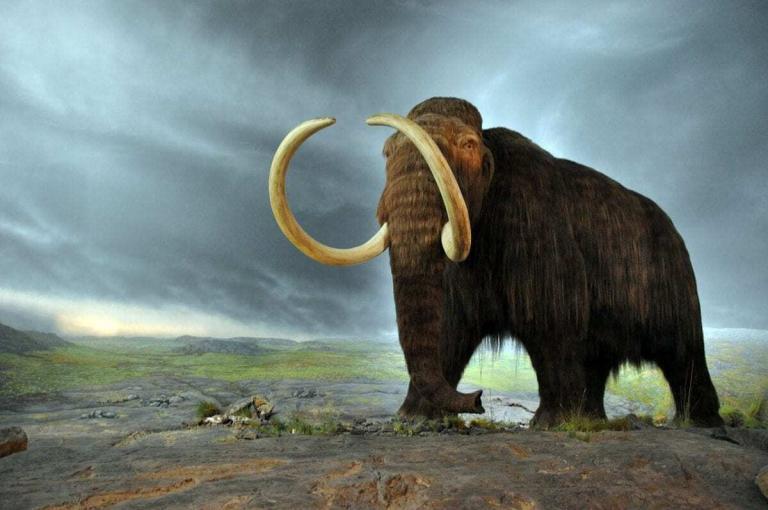 Mammoth Discovery on UK Road