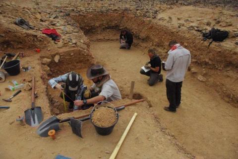 Stone tools linked to ancient human ancestors in Arabia have ...