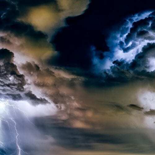 The teeth of Changchunsaurus: Rare insight into ornithopod dinosaur ...