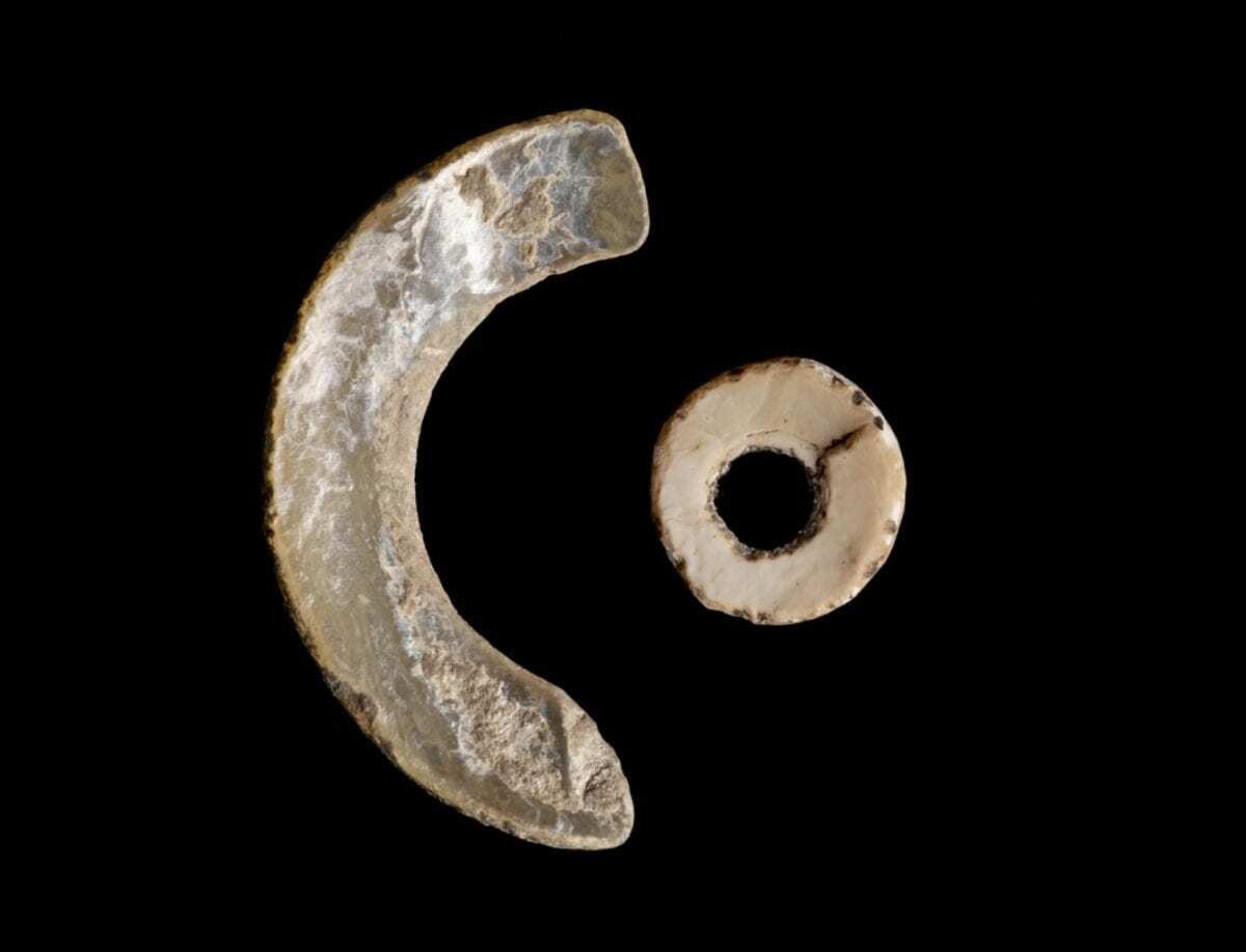 How ancient Mayan shell decor led to a new look at freshwater mussels ...