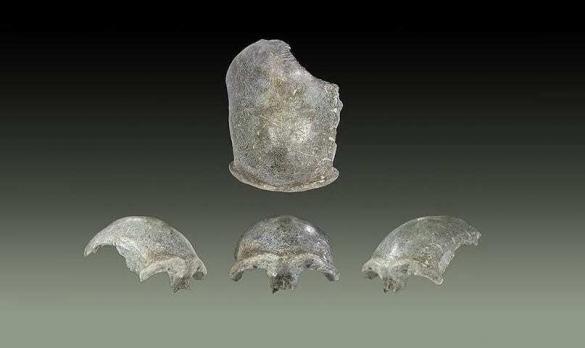 Ancient Mongolian skull is the earliest modern human yet found in the ...
