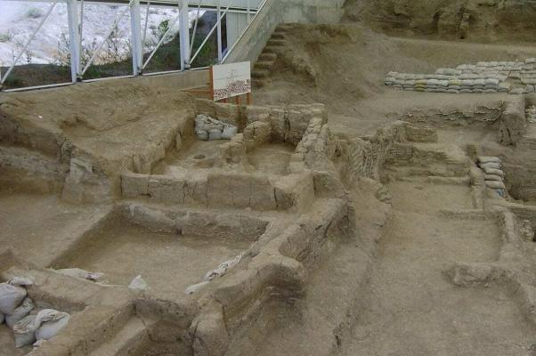 Ancient feces reveal parasites in 8,000-year-old village of Çatalhöyük