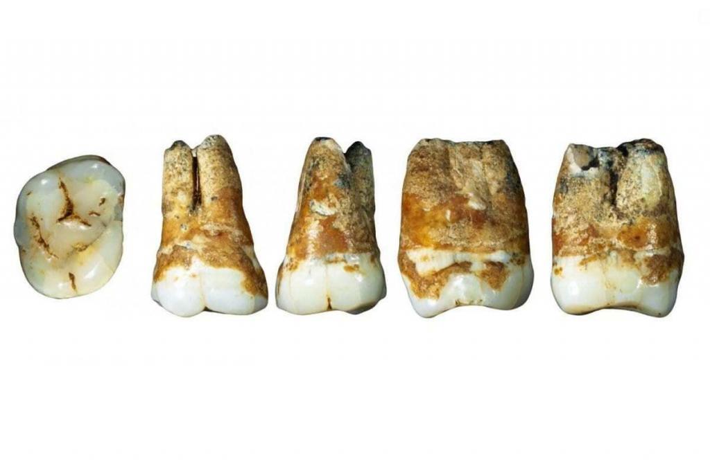 Study reveals that humans migrated from Europe to the Levant 40,000 ...