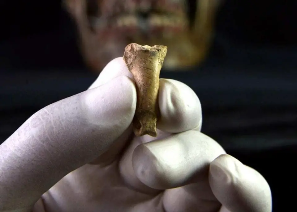 The last Neanderthal necklace