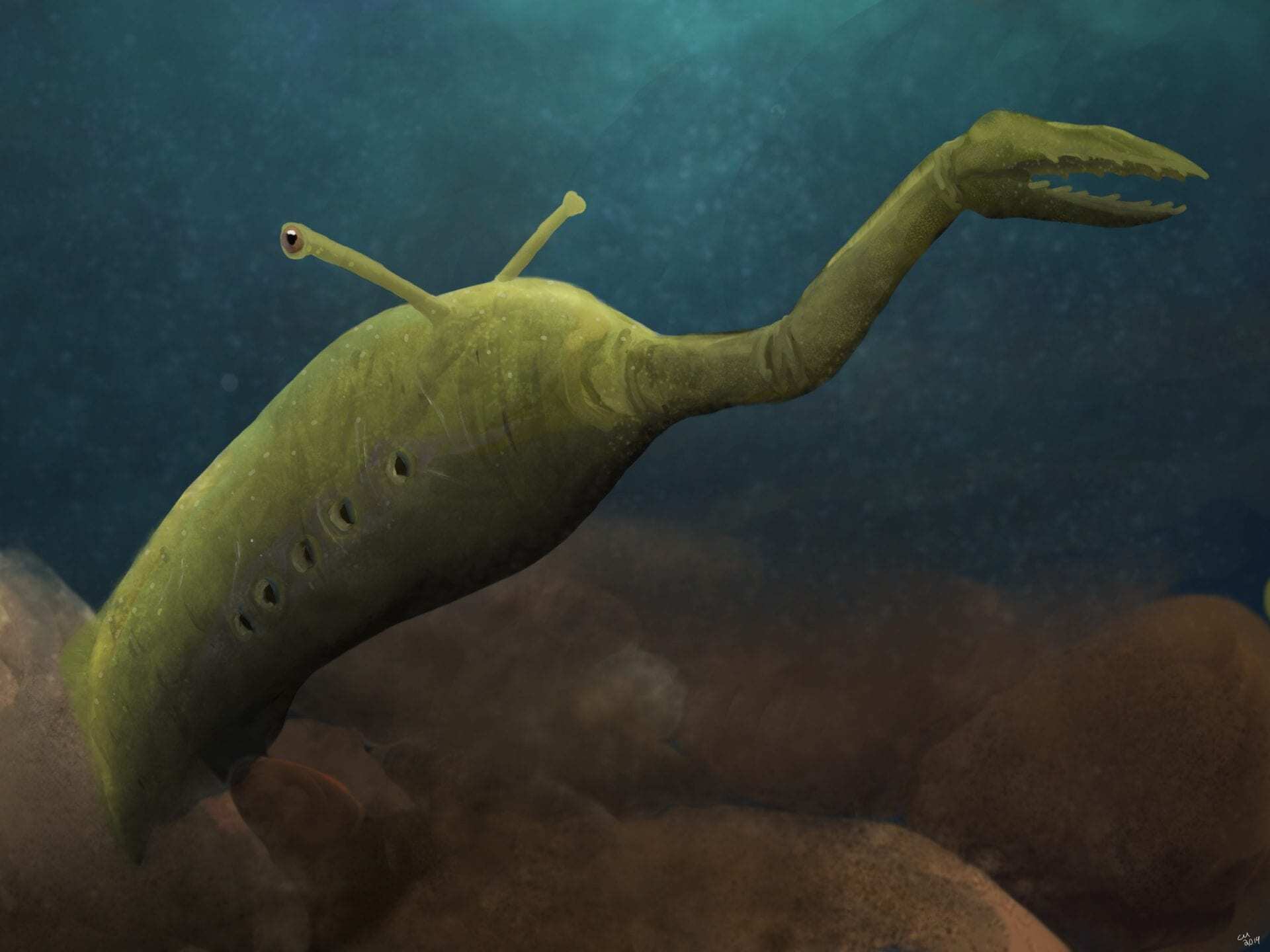 The mysterious ‘Tully Monster’ fossil just got more mysterious