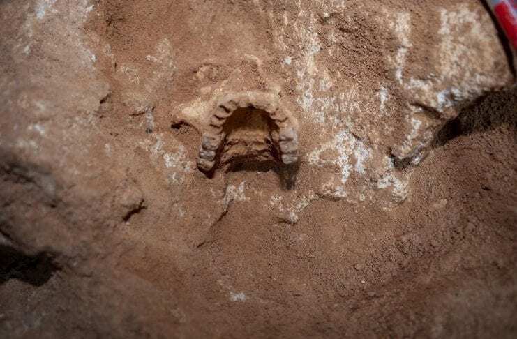 Researchers reconstruct migration movements through ancient DNA ...