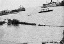 Matilda McCrear – the hidden story of the last transatlantic slave ...