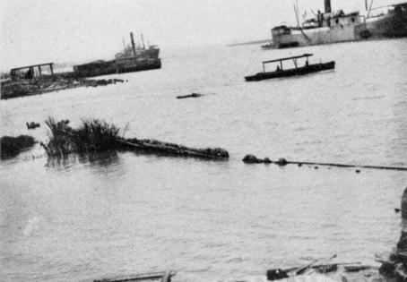 Matilda McCrear – the hidden story of the last transatlantic slave ...