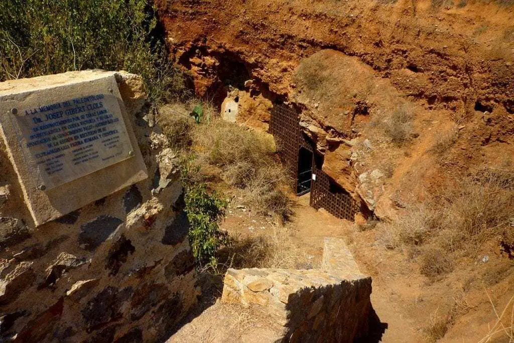 Study reveals the diet of the fossil primate ‘Theropithecus oswaldi ...