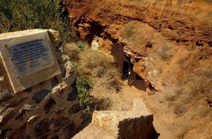 Study reveals the diet of the fossil primate ‘Theropithecus oswaldi ...