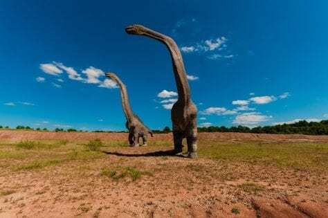 Dinosaur stomping ground in Scotland reveals thriving middle Jurassic ...