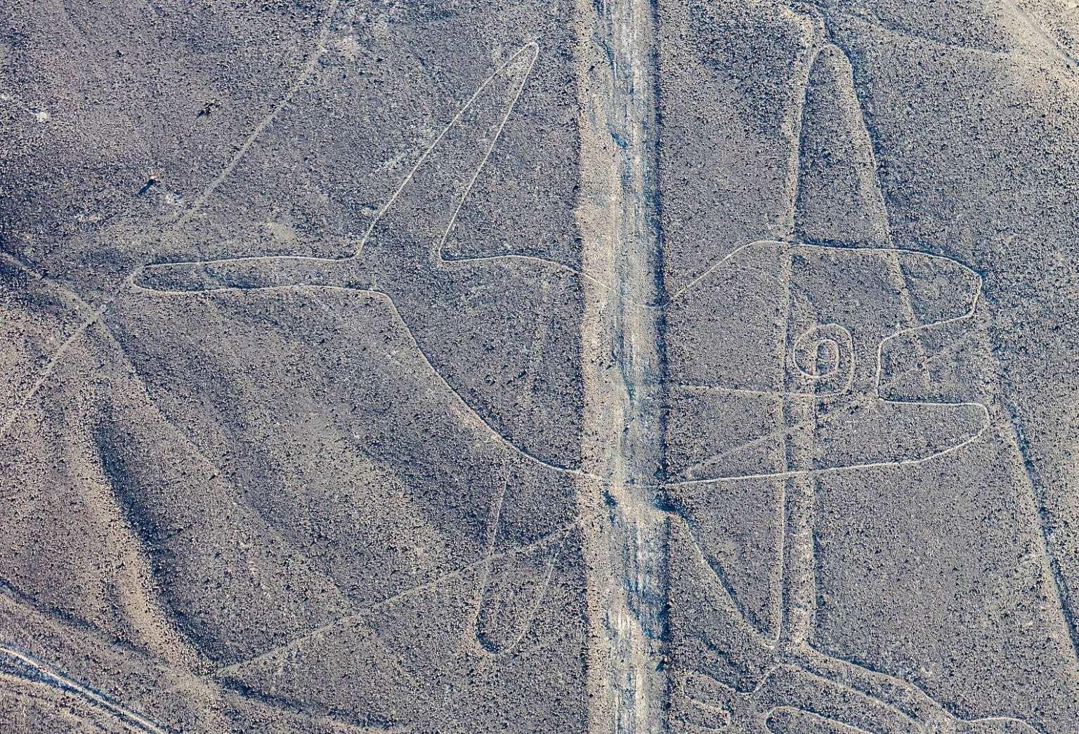 The Nazca Lines & Interactive Map