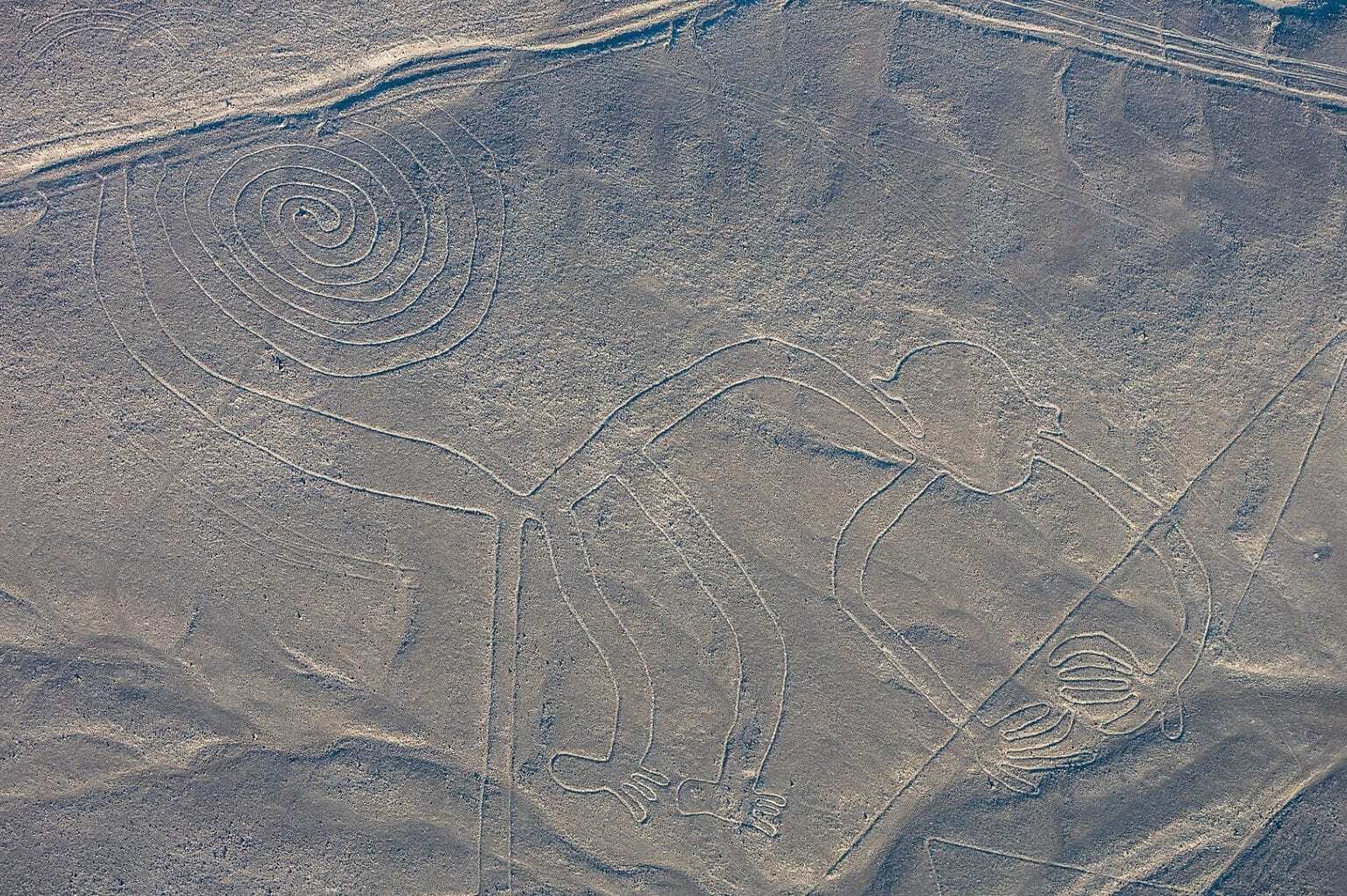 The Nazca Lines & Interactive Map