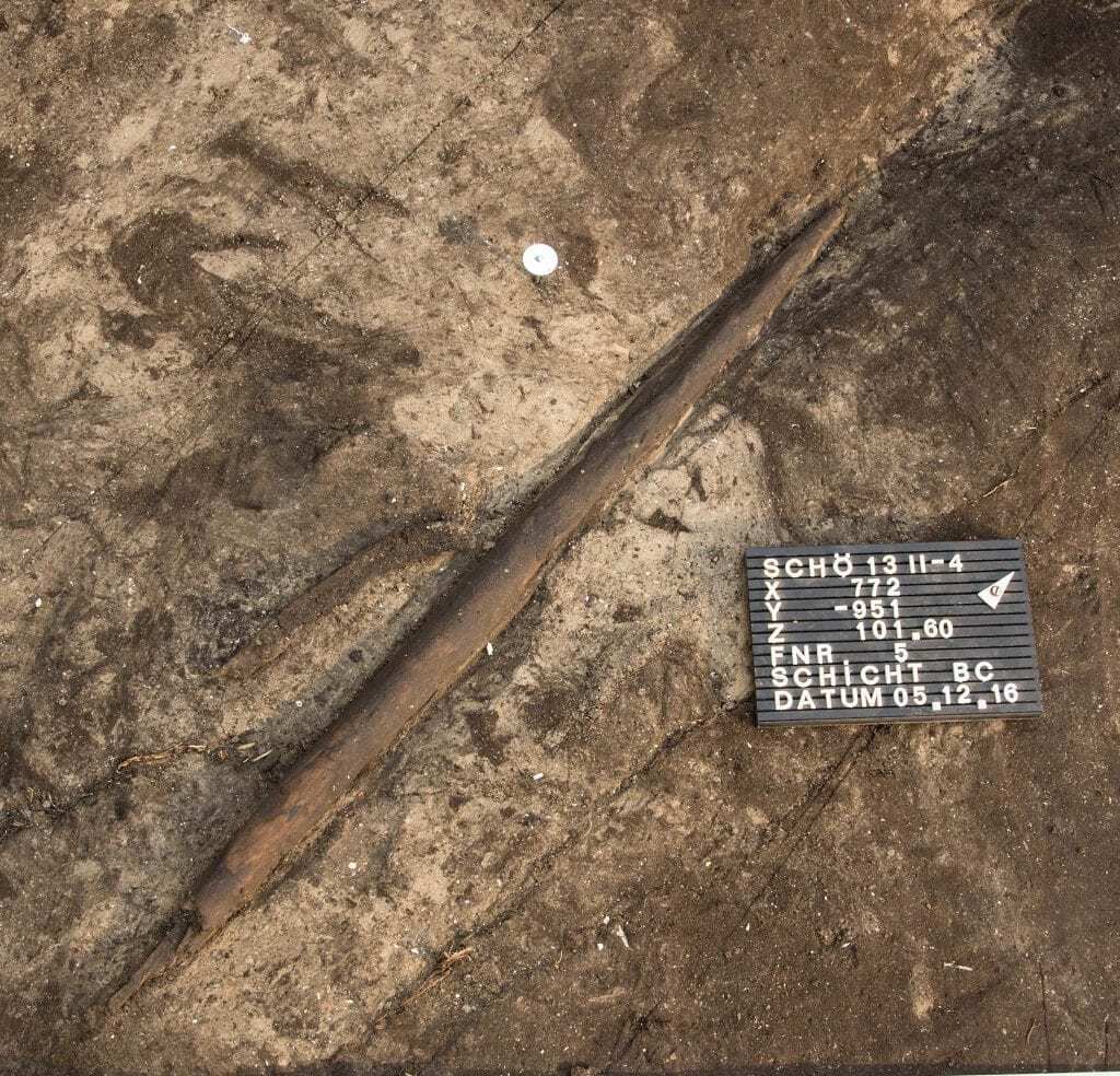 300,000-year-old throwing stick documents the evolution of hunting