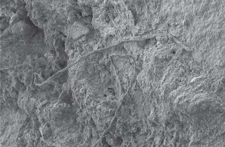 Archaeology: Ancient string discovery sheds light on Neanderthal life ...