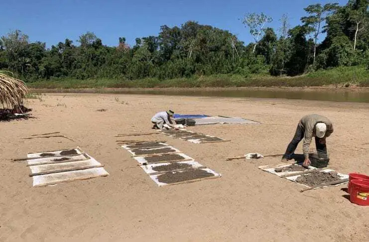 Ancient teeth from Peru hint now-extinct monkeys crossed Atlantic from ...